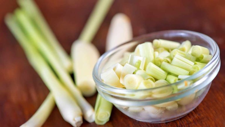 Benepisyo ng Tanglad - Gamotsa