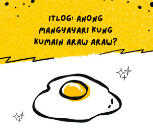 Itlog: Anong mangyayari kung kumain araw araw? - Gamotsa